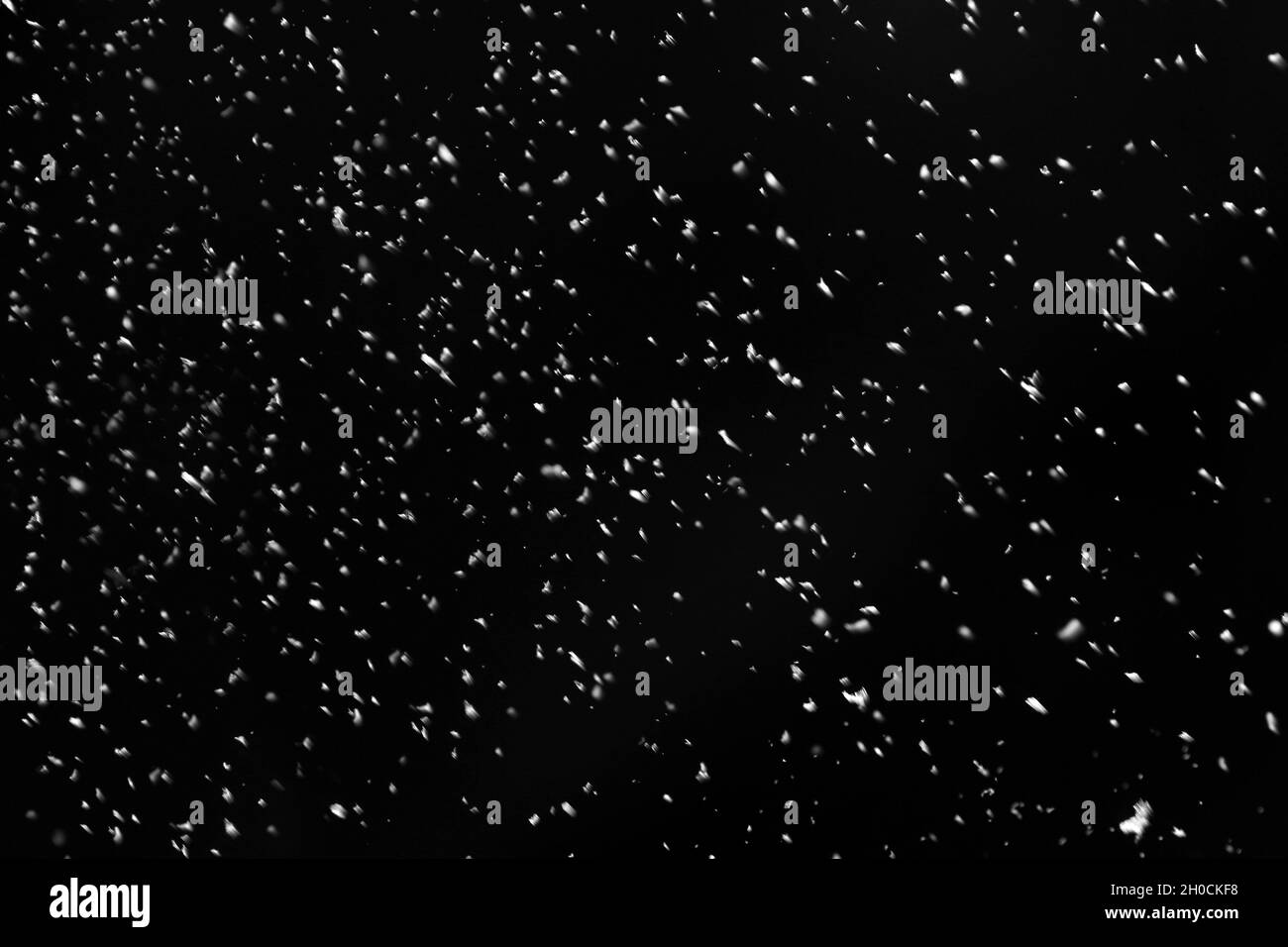 Snow flakes falling on black background. Winter weather Stock Photo - Alamy