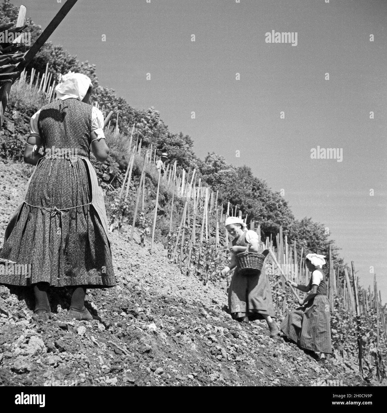 Frauen bei der arbeit hi-res stock photography and images - Alamy