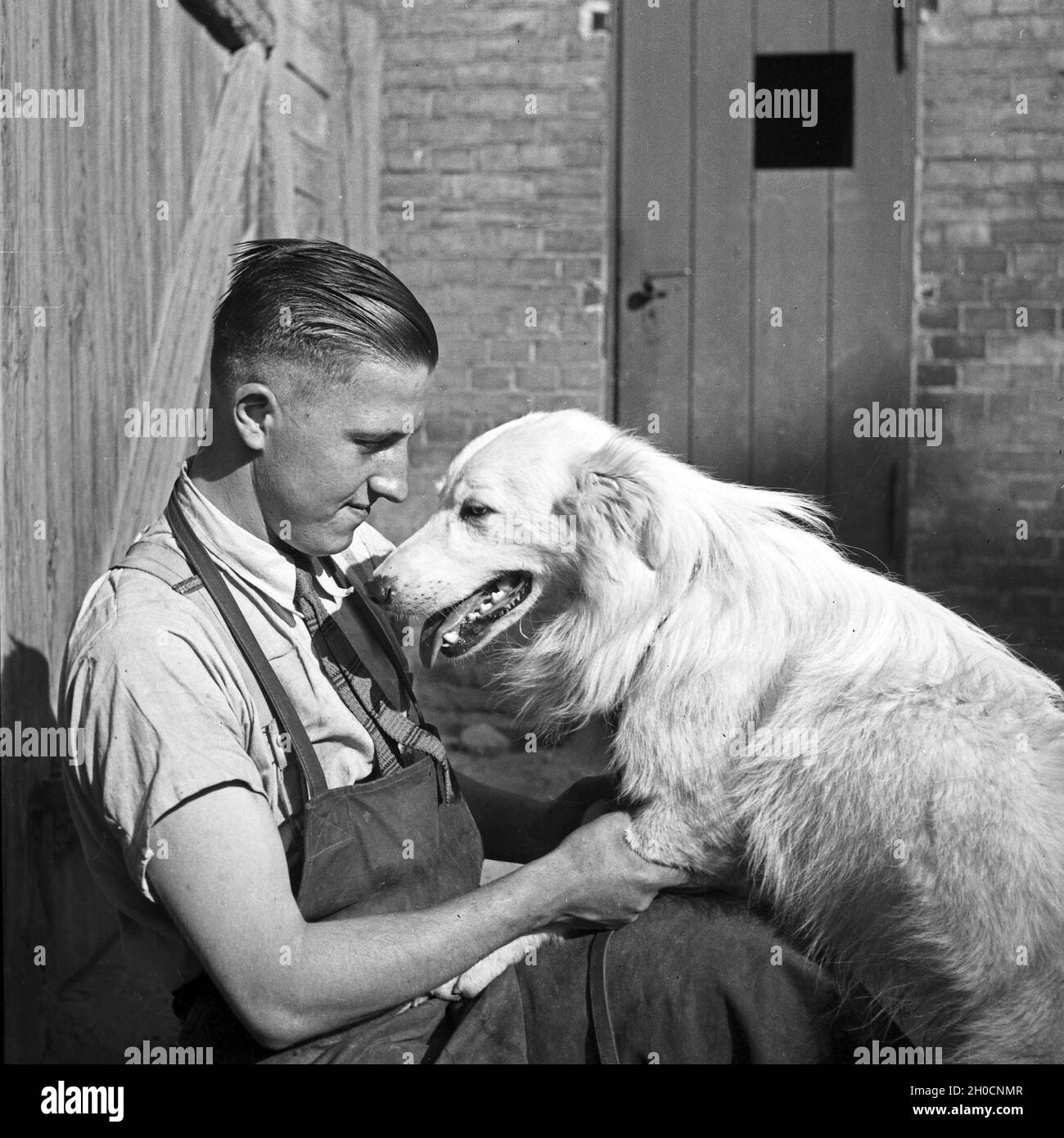 Hund mit mann Black and White Stock Photos & Images - Alamy