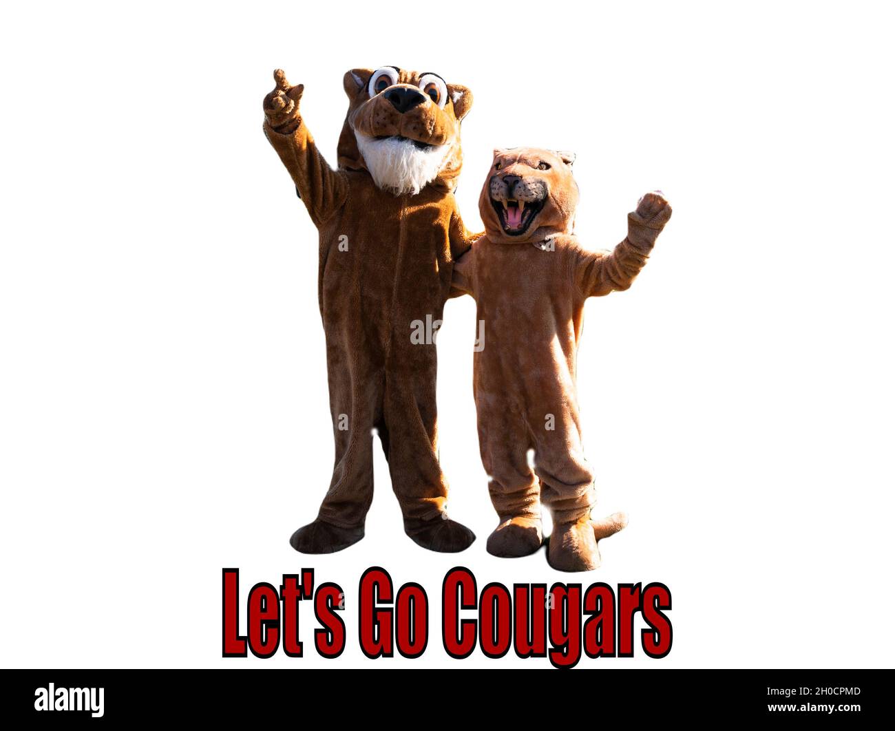 High School Cougar Mascot