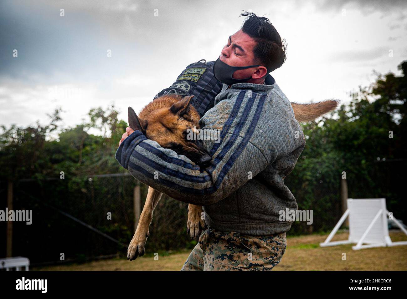 U.S. Marine Corps Cpl. Ronnie Ramcharan, a Military Working Dog (MWD ...