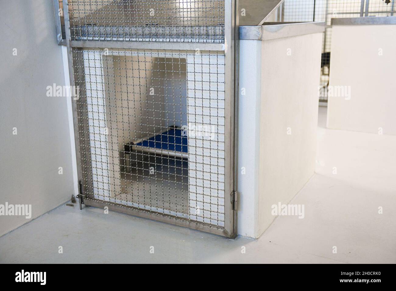 The military working dog teams have recently moved into a new facility ...