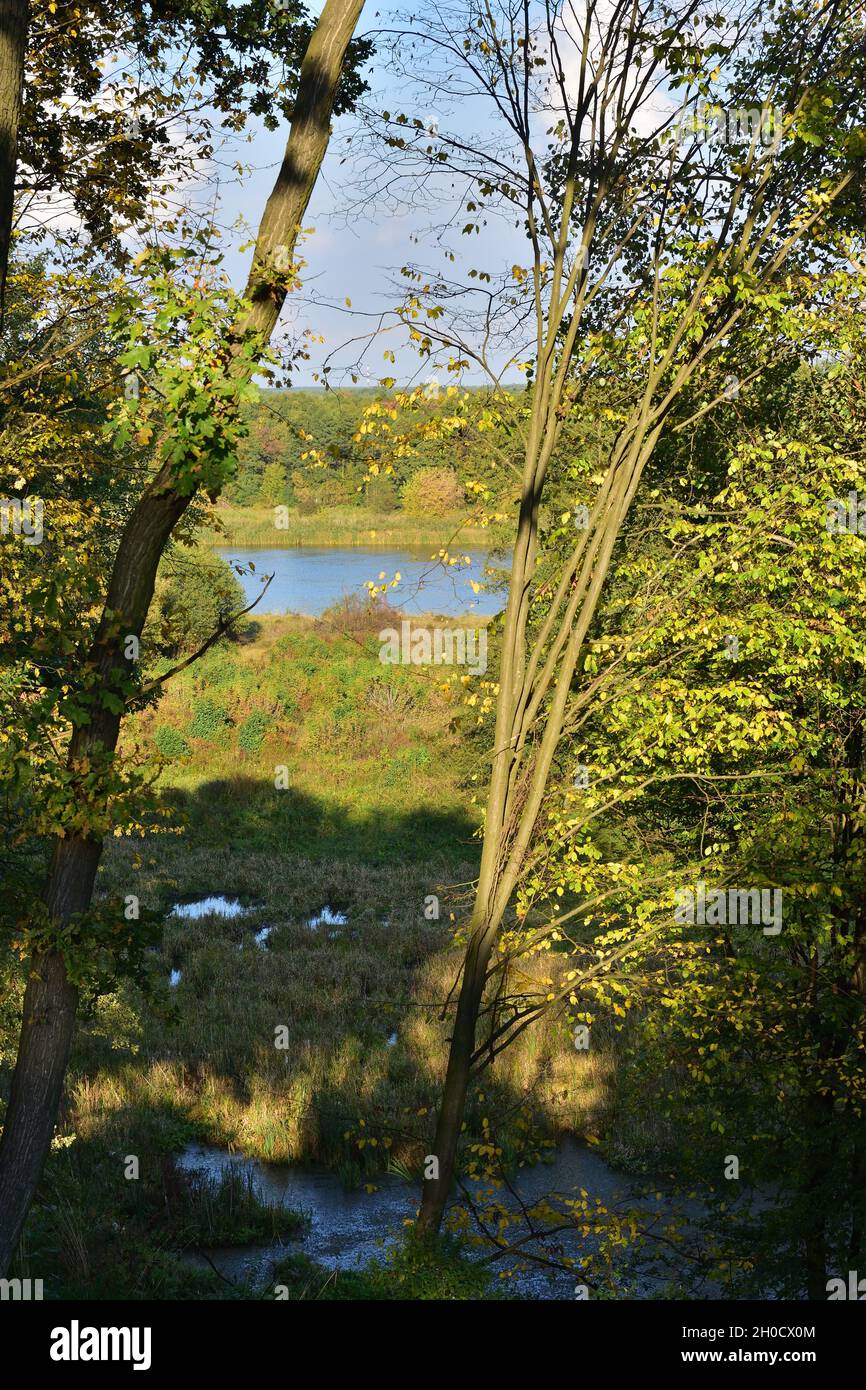 Oxbow pond hi-res stock photography and images - Alamy
