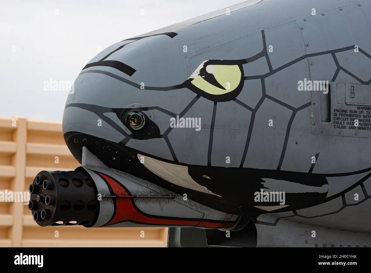 The painted nose of an A-10 Thunderbolt II from the 122nd Fighter Wing ...