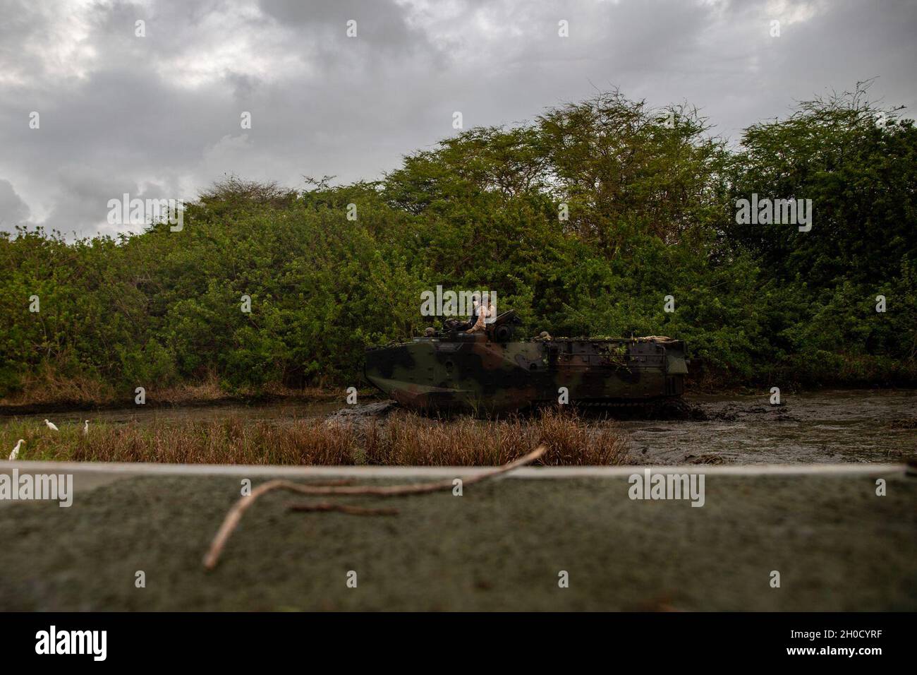 U.S. Marines with Combat Assault Company (CAC), 3d Marine Regiment ...