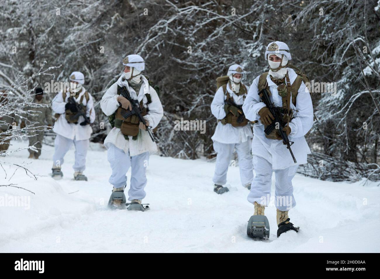 1 501st parachute infantry regiment hi-res stock photography and images ...