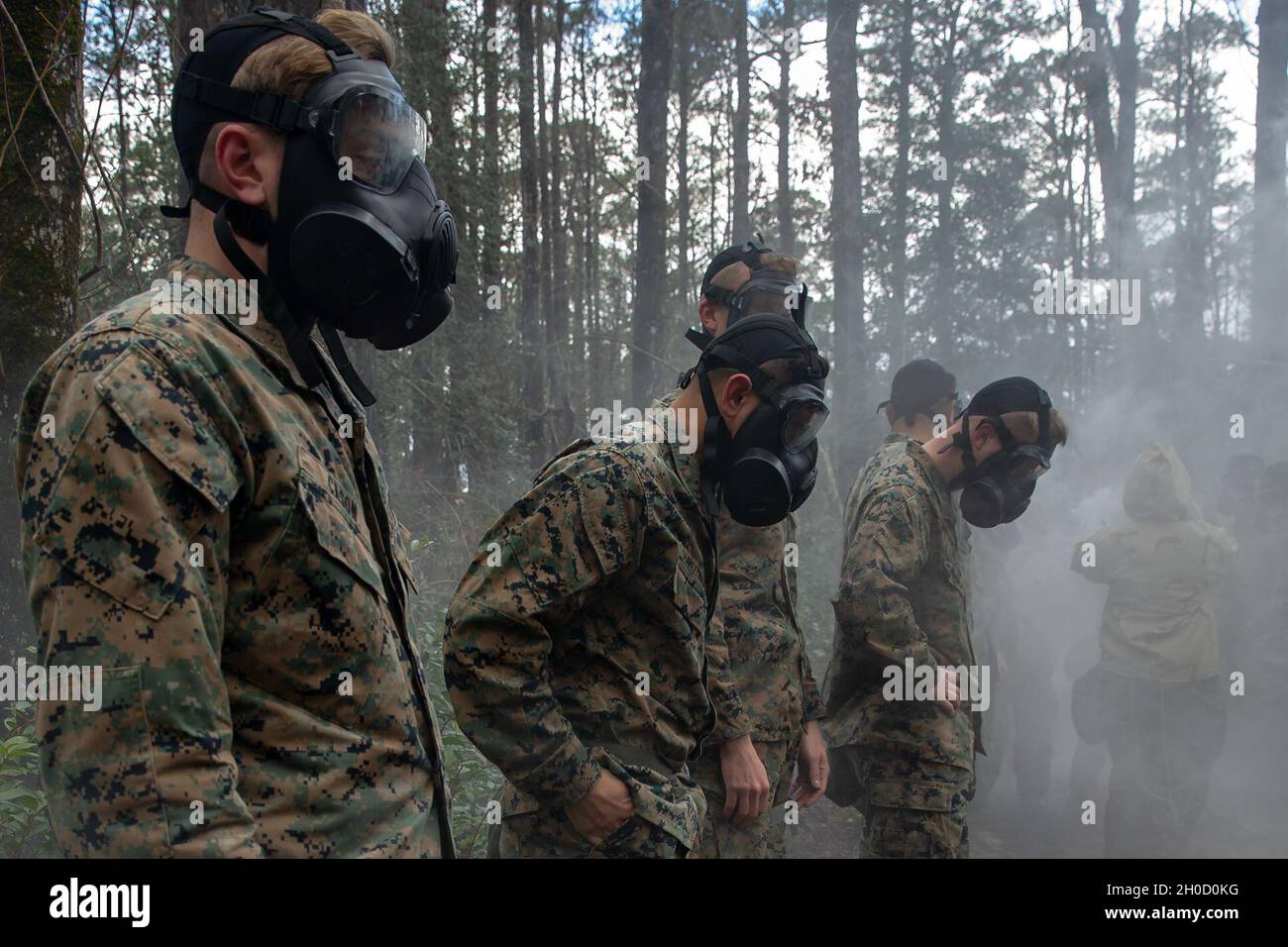 M50 joint service general purpose gas masks hi-res stock photography ...