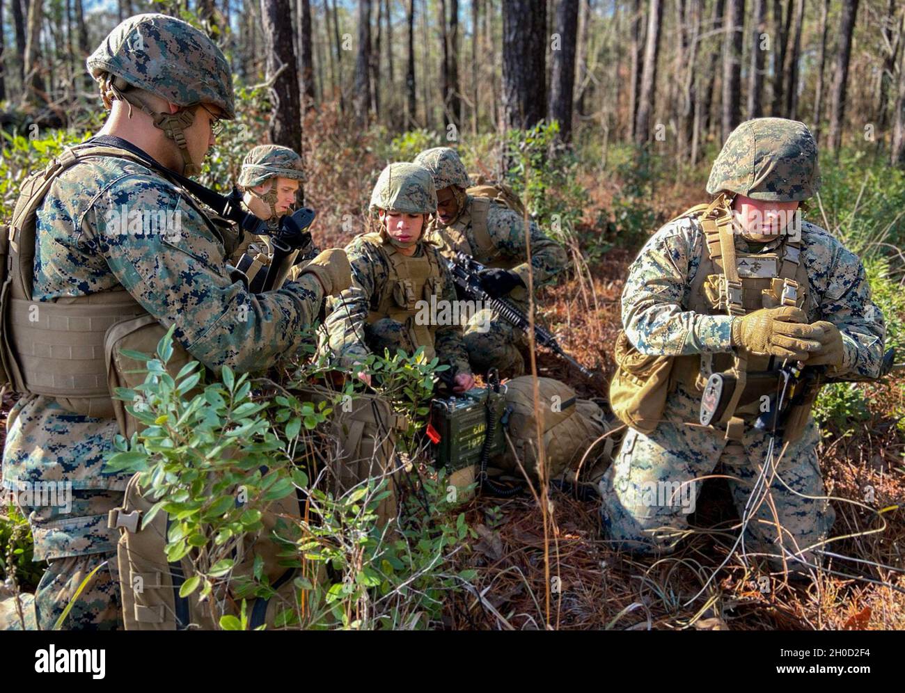 U.S. Marines with 8th Communication Battalion, II Marine Expeditionary ...