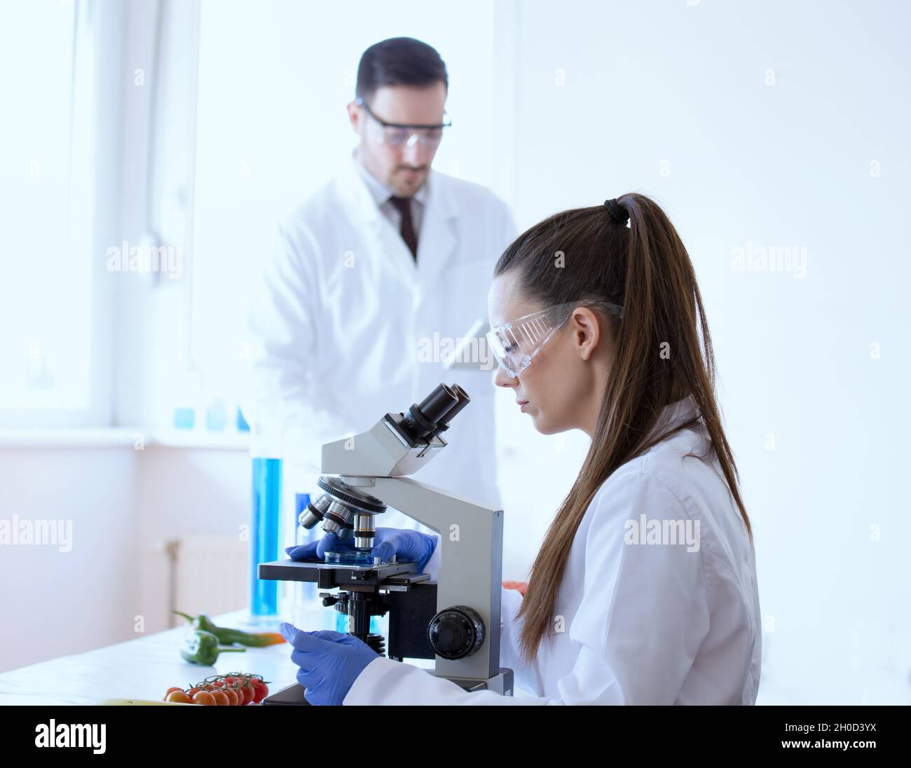 Two scientists doing testing on vegetables with microscope in ...