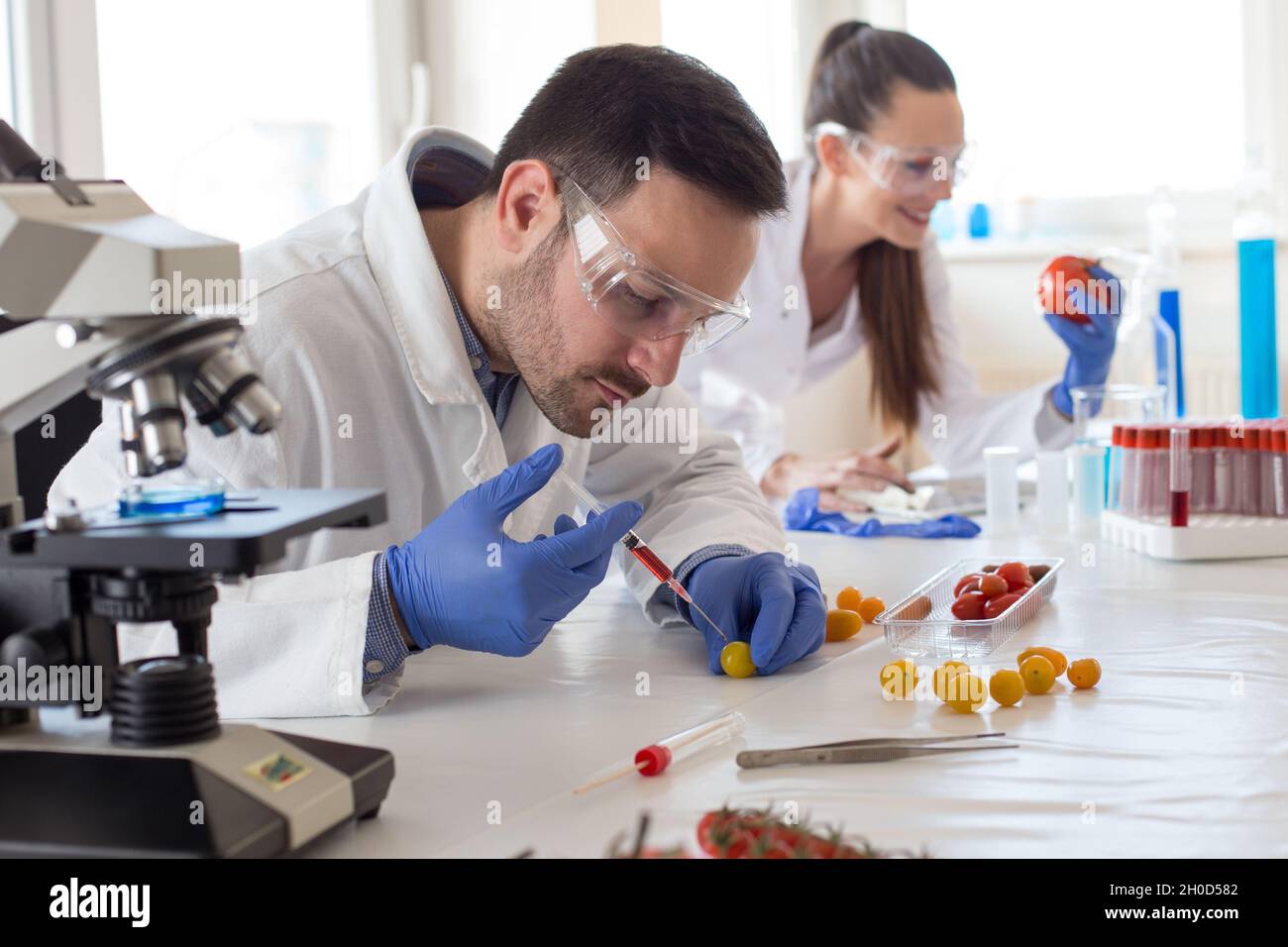 Two scientists working on vegetables testing with syringe in laboratory ...