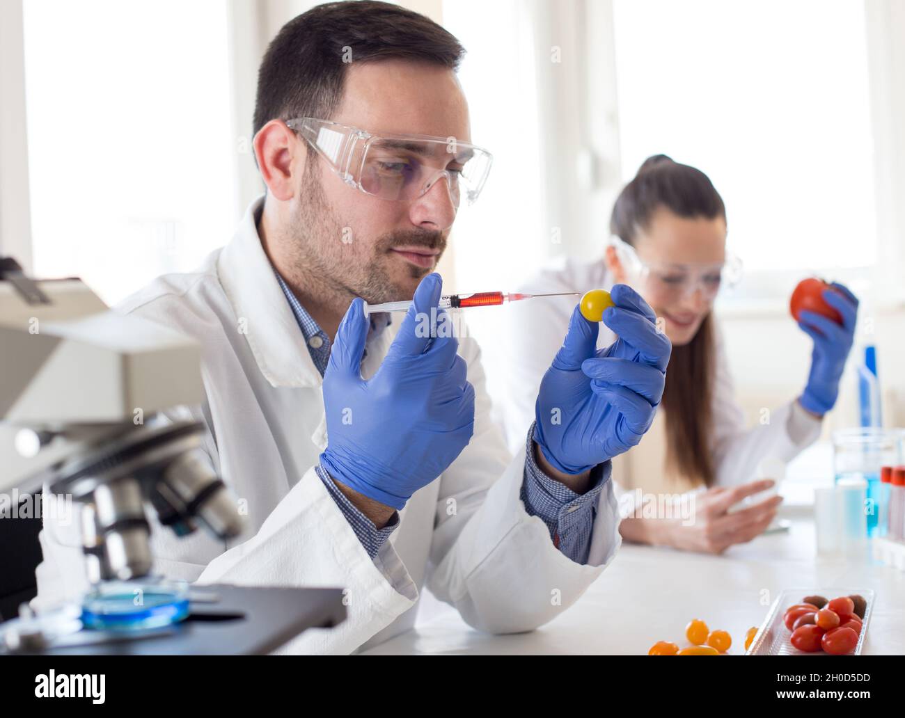 Two scientists working on vegetables testing with syringe in laboratory ...