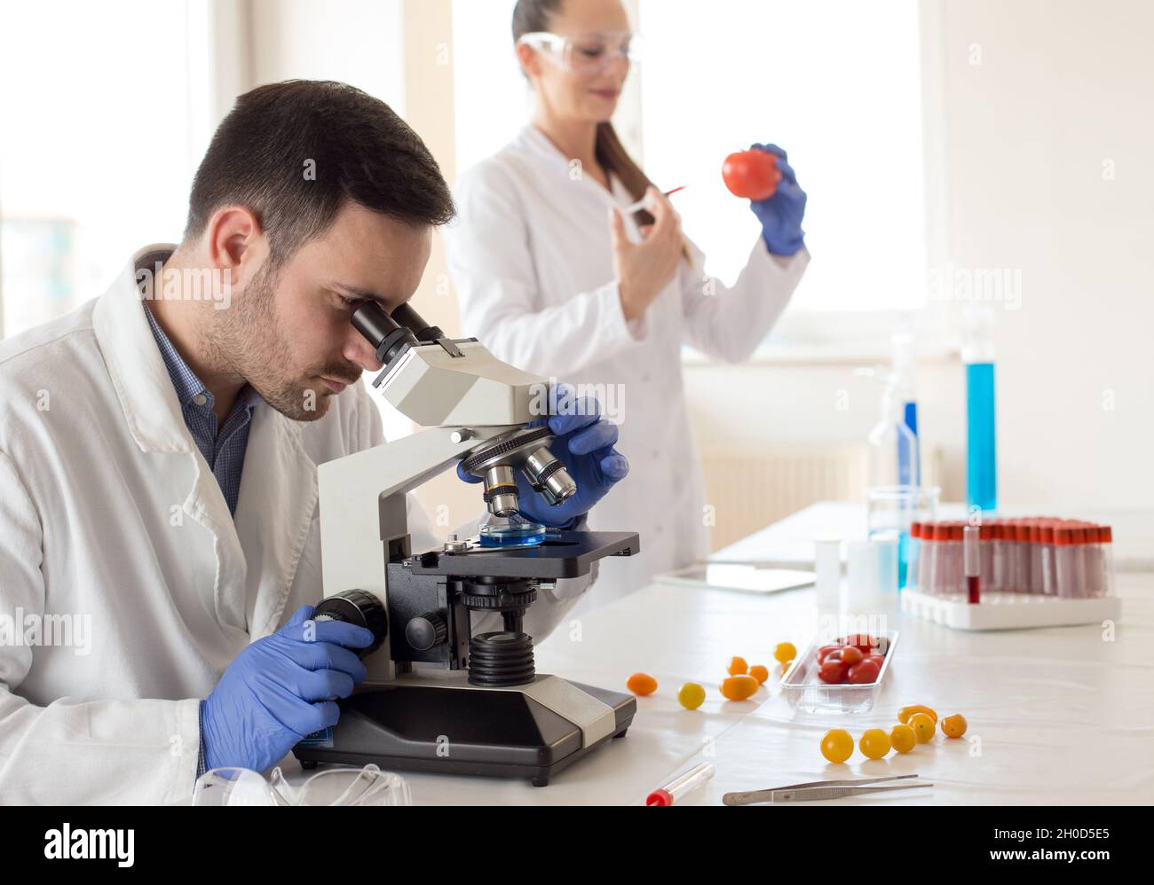 Two scientists doing research with vegetables in lab with microscope ...