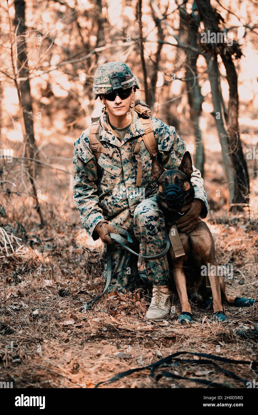 U.S. Marine Corps Cpl. Matthew Underhill-Bross, a Military Working Dog ...