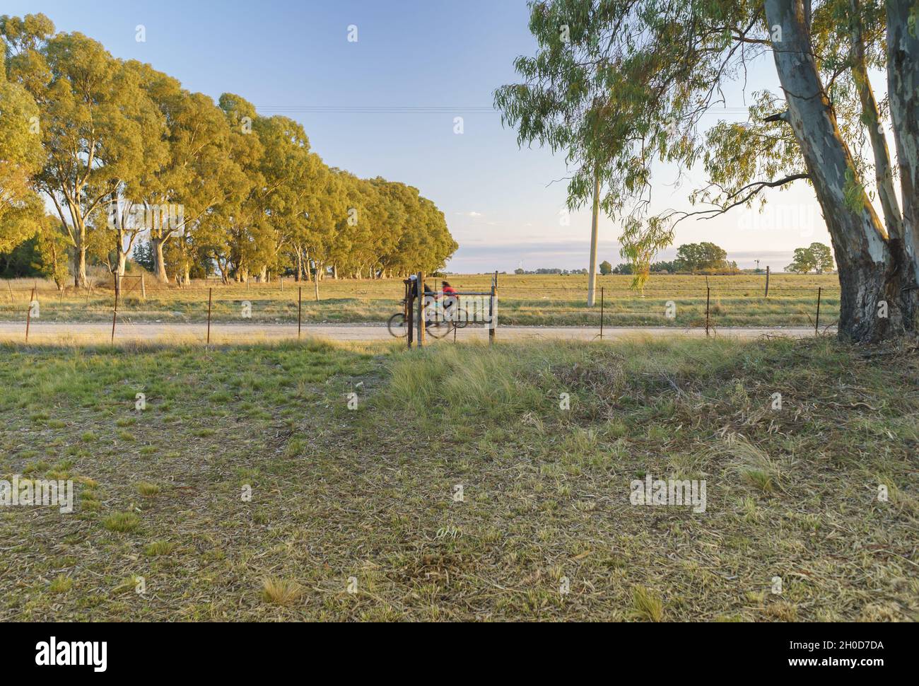 2 people cycling in rural landscape Stock Photo - Alamy