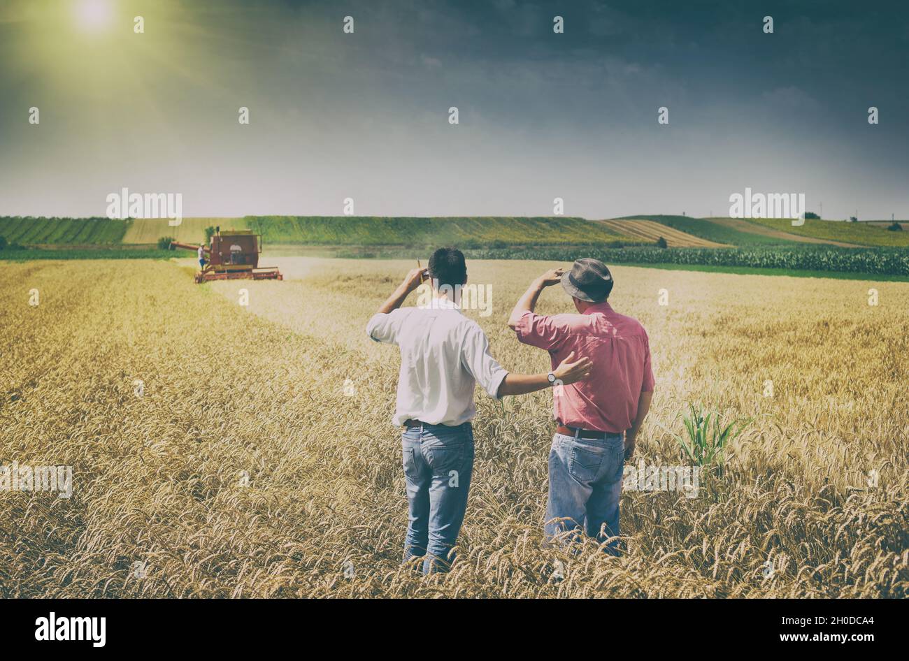 Two farmers standing on wheat field at harvest Stock Photo - Alamy