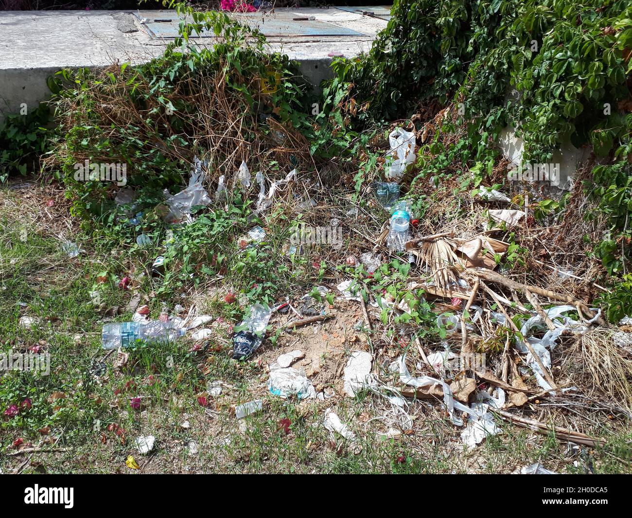 Trash on the sides of a street in Lido di Noto Contrada, Sicily, Italy ...