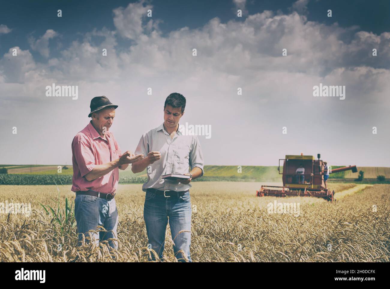 Two farmers standing on wheat field at harvest Stock Photo - Alamy