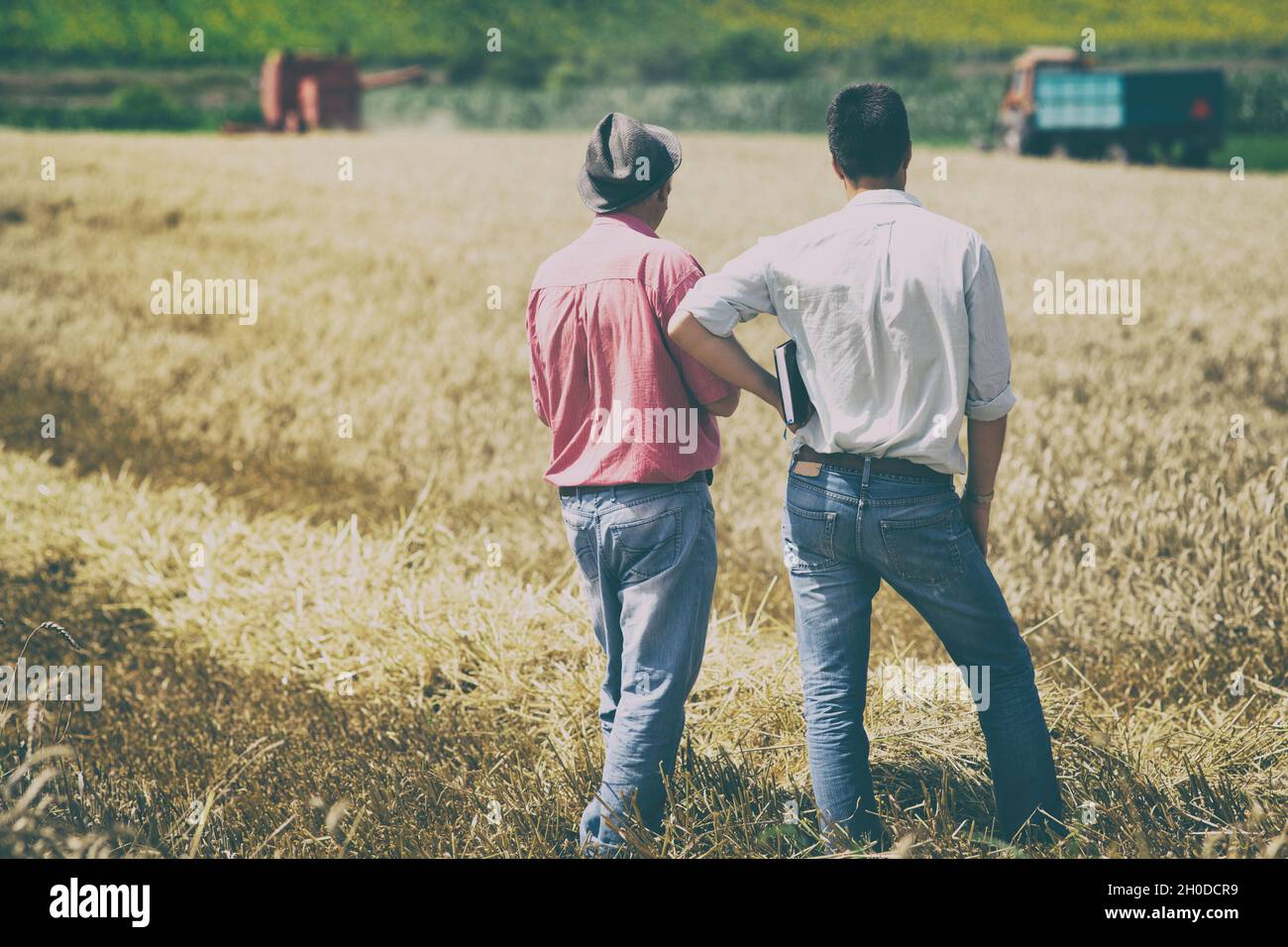 Two farmers standing on wheat field at harvest Stock Photo - Alamy