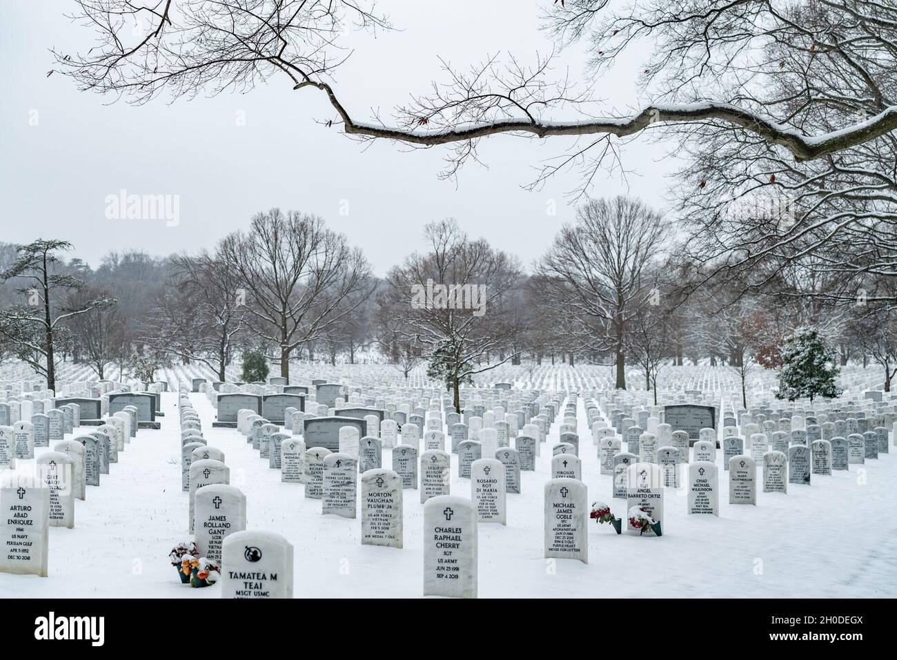 Section 60following a snow storm at Arlington National Cemetery ...
