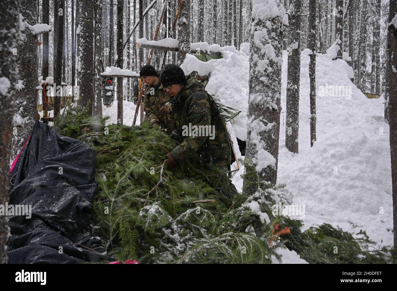 Usaf Arctic Survival Training