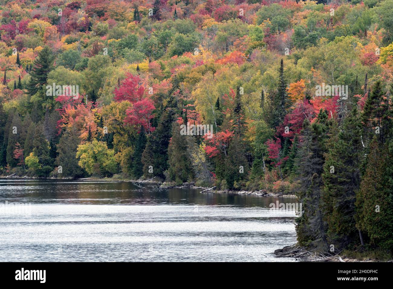Canada, Quebec, Indian summer Stock Photo - Alamy