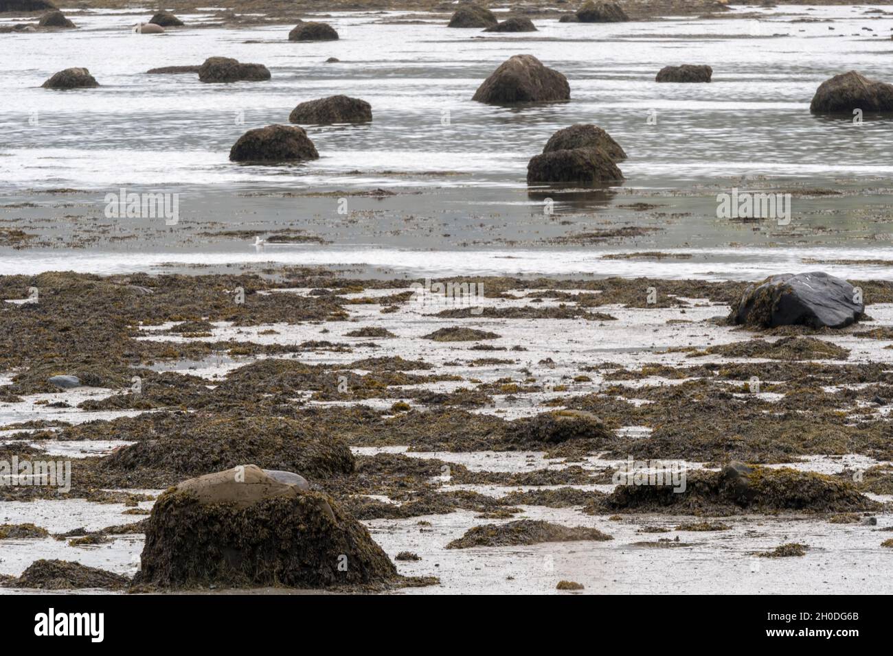 Quebec waterscape hi-res stock photography and images - Alamy