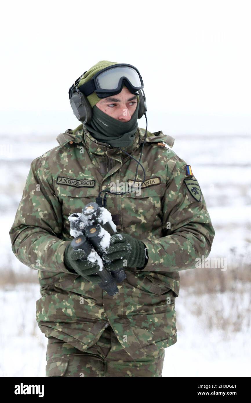Romanian Army Gepards, "Transylvanian Cheetah" Air Defense Detachment ...