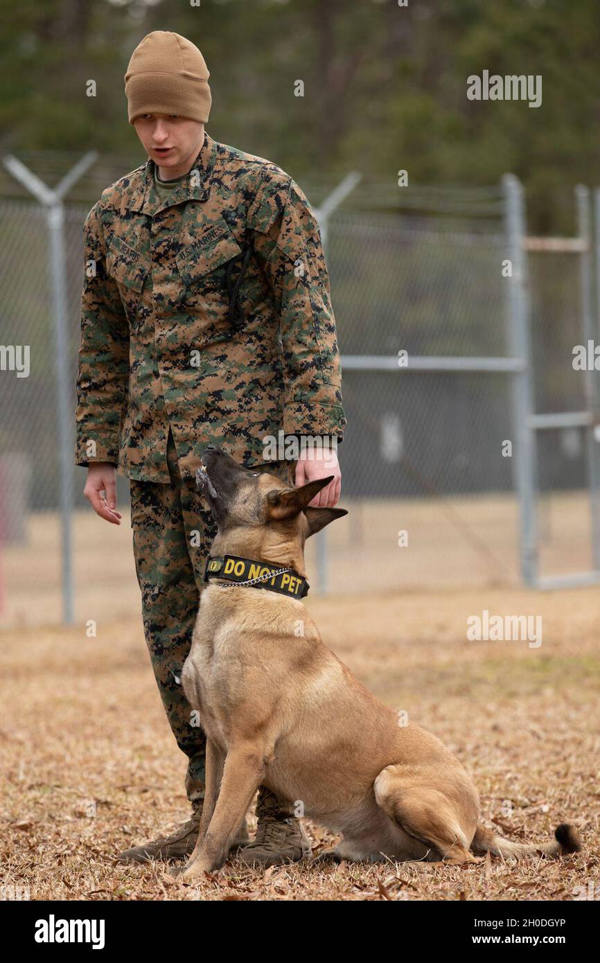 The life of a U.S. Marine Corps military working dog handler is just ...