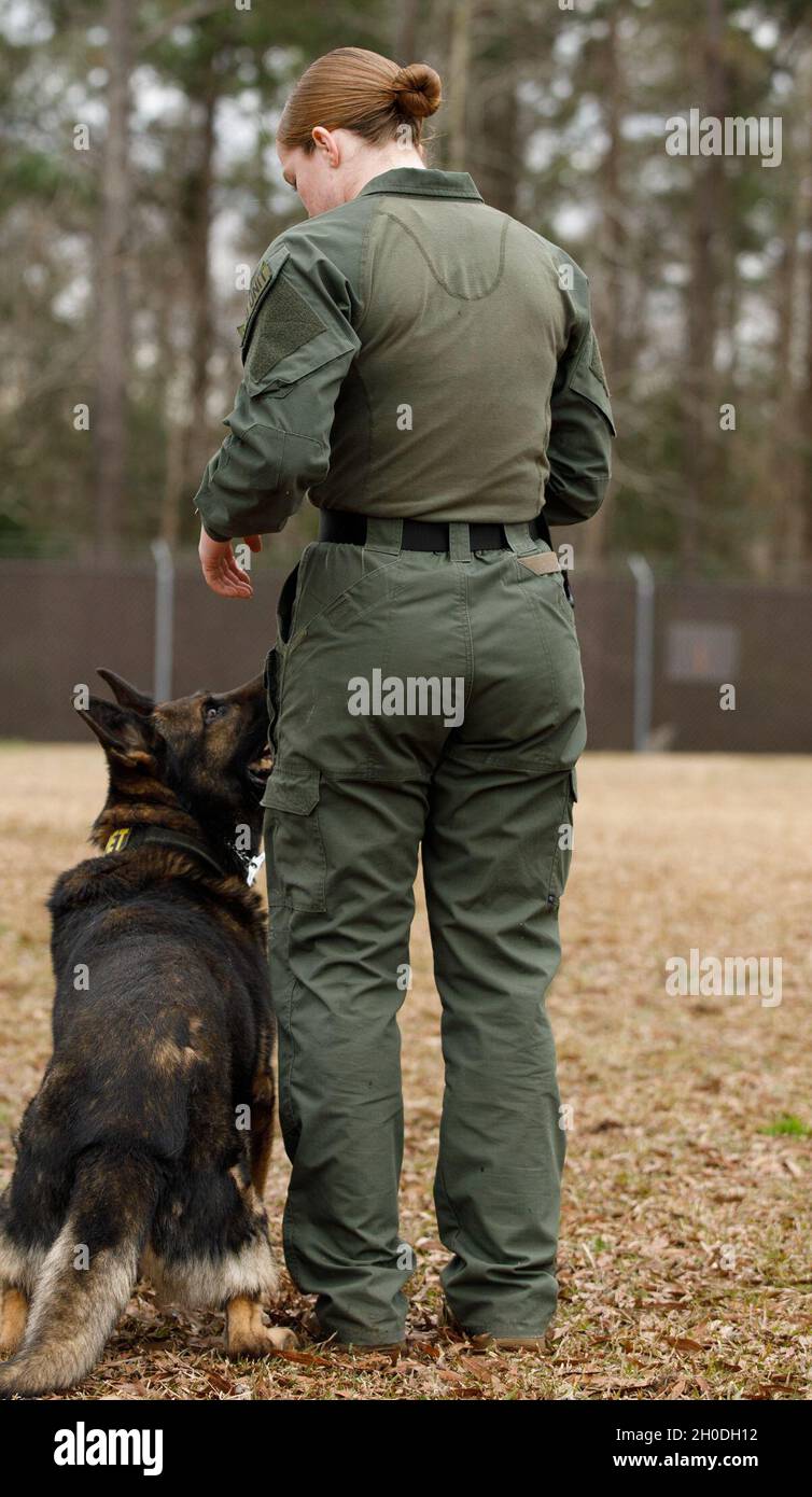 The job of a U.S. Marine Corps military working dog handler is never ...