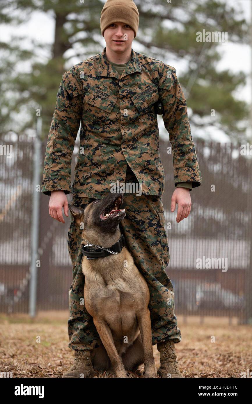 The life of a U.S. Marine Corps military working dog handler is just ...