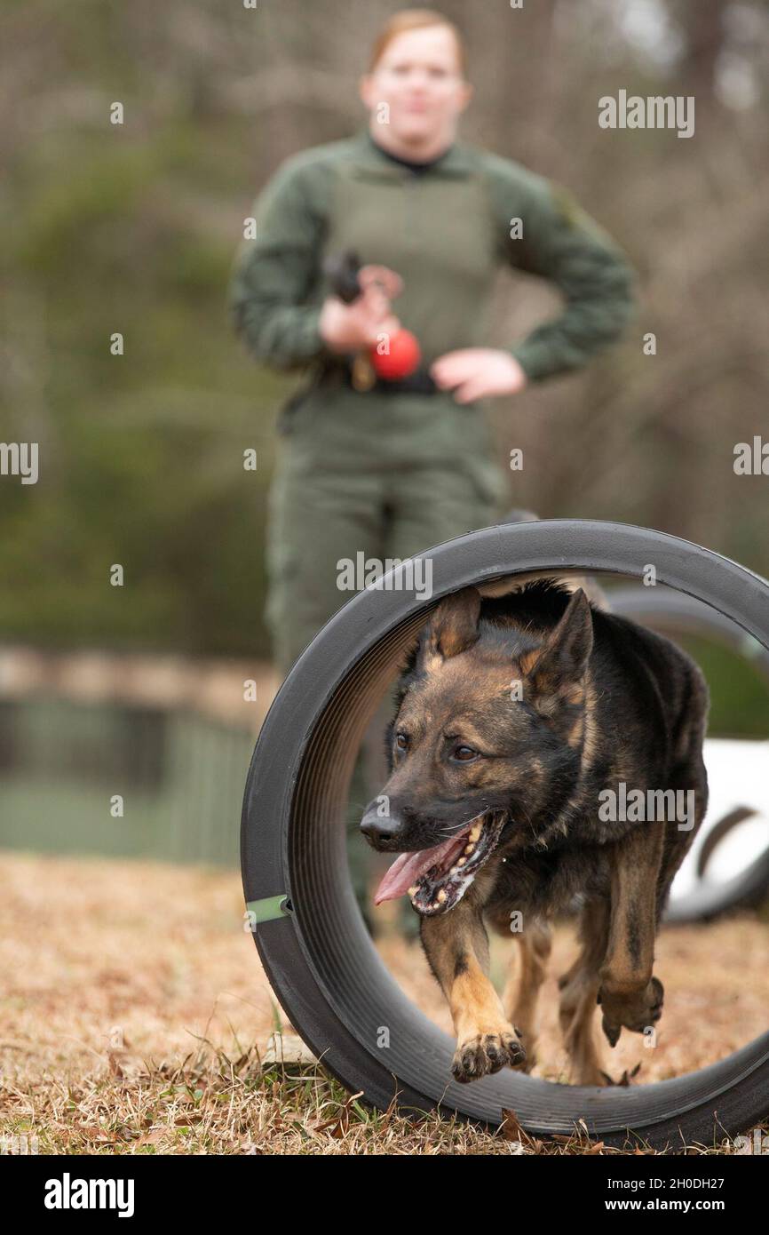 The job of a U.S. Marine Corps military working dog handler is never ...