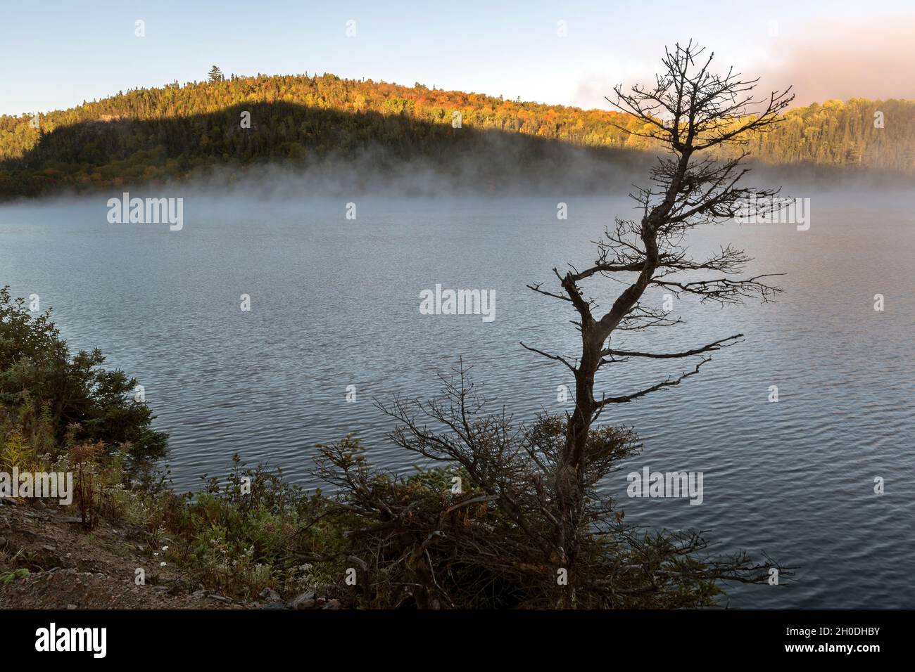 Quebec nature hi-res stock photography and images - Alamy