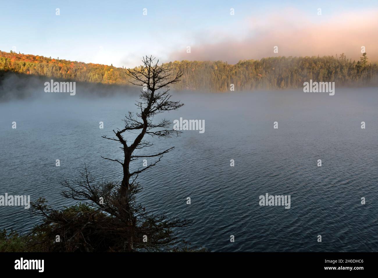Quebec nature hi-res stock photography and images - Alamy