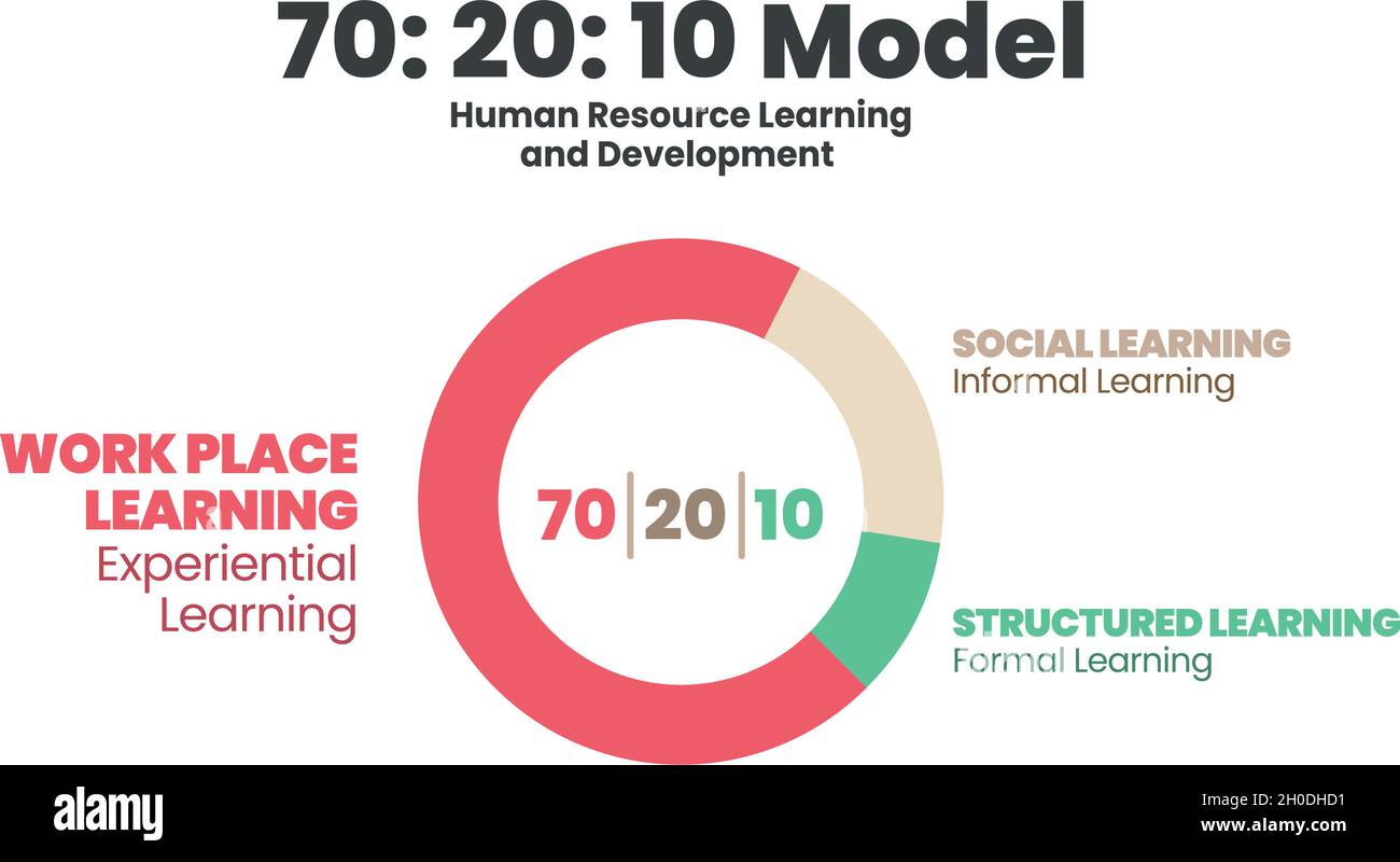 HR learning and development donut chart vector diagram is illustrated ... HR learning and development donut chart vector diagram is illustrated ...