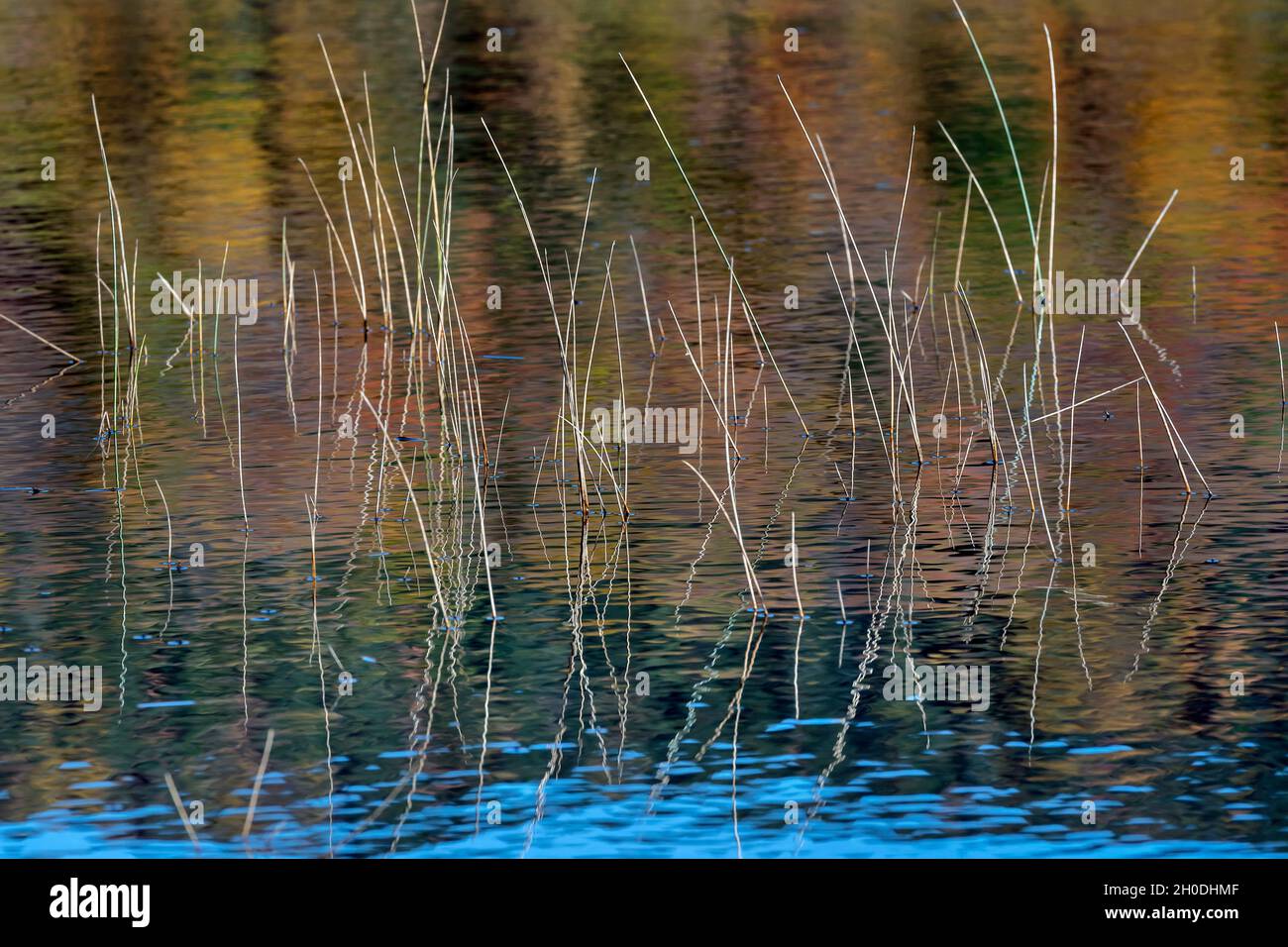 Canada, Quebec, Jacques Cartier NP, lac Chat Stock Photo - Alamy