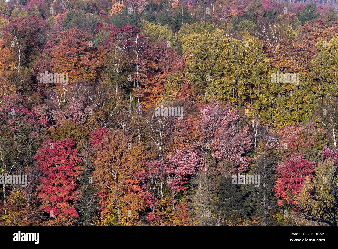 Indian summer canada hi-res stock photography and images - Alamy