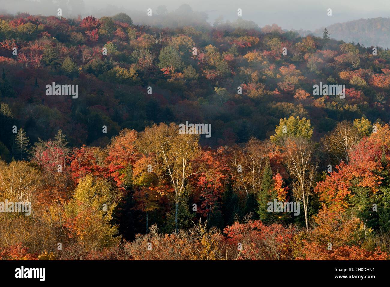 Indian summer canada hi-res stock photography and images - Alamy