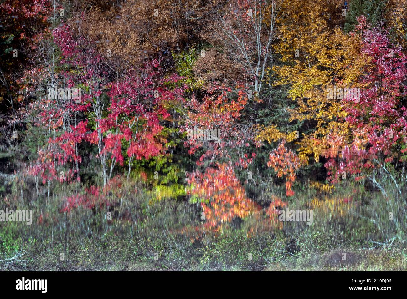 Indian summer canada hi-res stock photography and images - Alamy