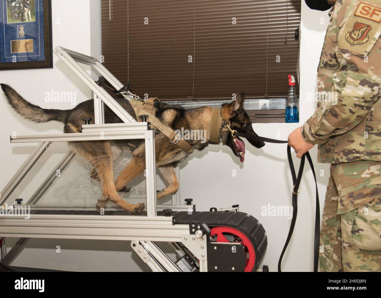 Military physical conditioning hi-res stock photography and images - Alamy
