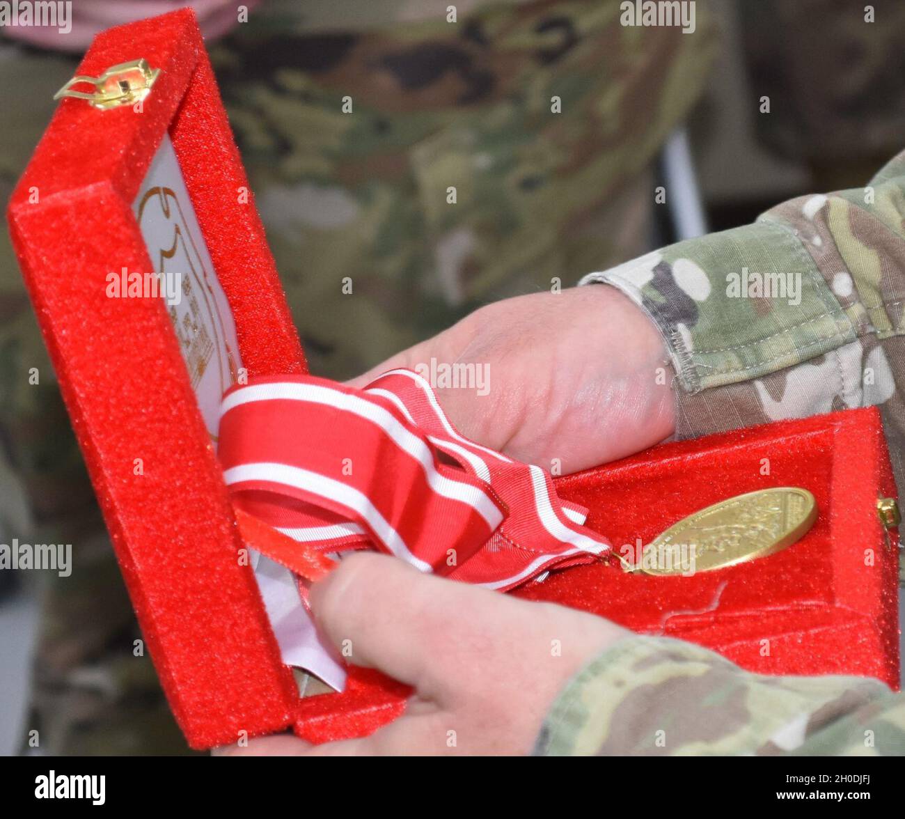 The Bronze Order of the de Fleury Medal Stock Photo - Alamy