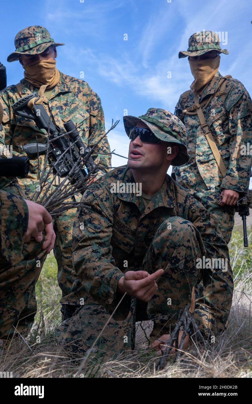 U.S. Marine Sgt. Cody Hargrove, center, a squad instructor with Alpha ...