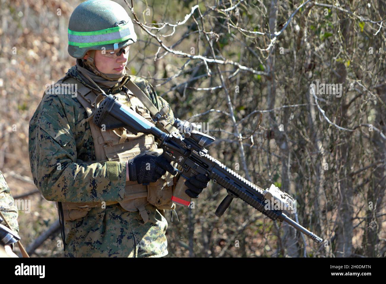 Camp devil dog hi-res stock photography and images - Alamy