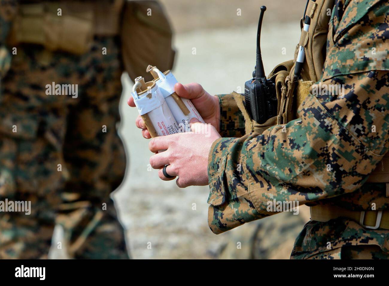 Camp devil dog hi-res stock photography and images - Alamy