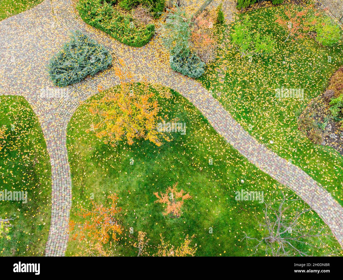 Orange orchard aerial view hi-res stock photography and images - Alamy