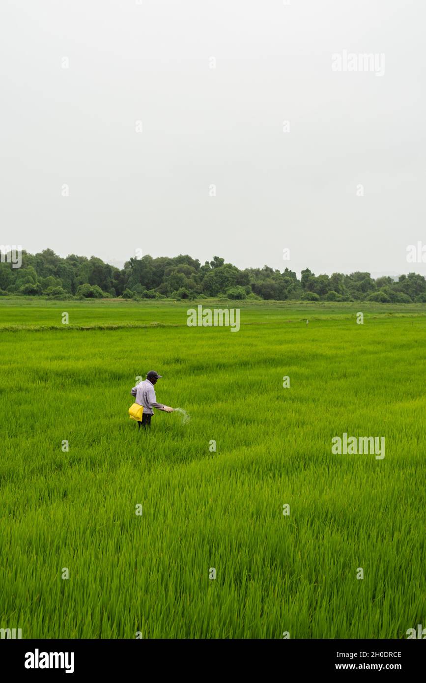 G, INDIA - Sep 25, 2021: Mapusa Goa India- September 25 2021: Local ...
