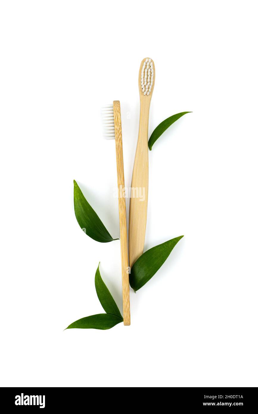 Vertical photo. Two toothbrushes made of eco material with green leaves ...