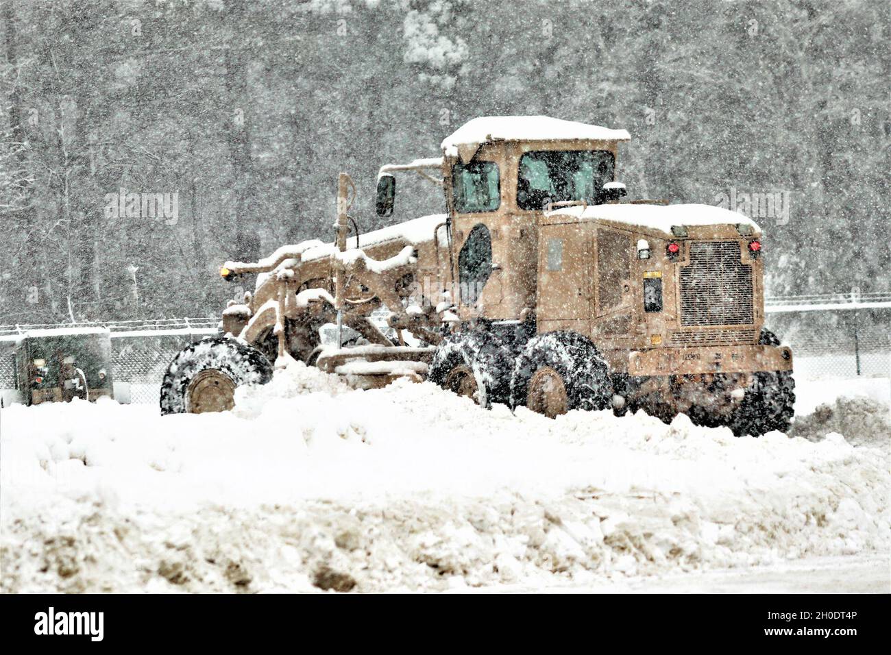 89b Mos High Resolution Stock Photography and Images - Alamy