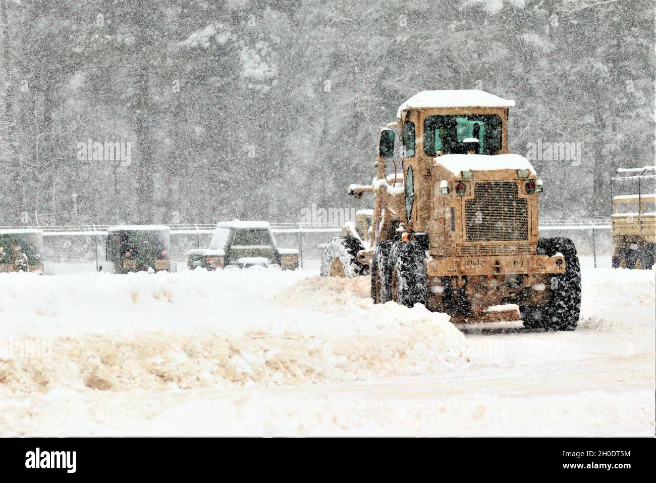 89b Mos High Resolution Stock Photography and Images - Alamy