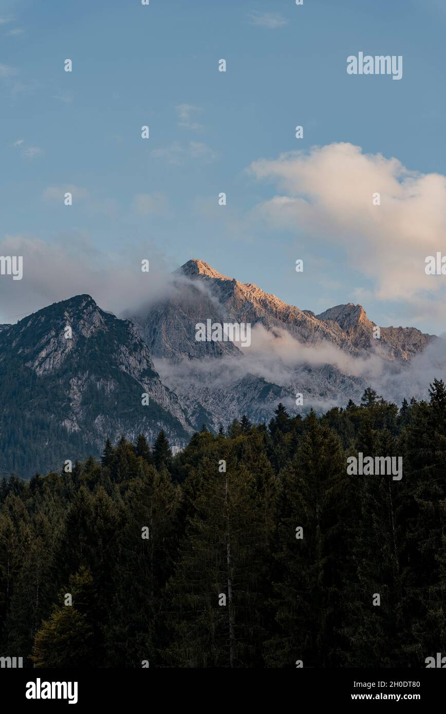 Alpenglow on mountain peaks with forest Stock Photo - Alamy