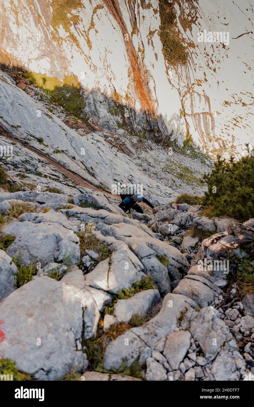 Mountain rock wall trees hi-res stock photography and images - Alamy